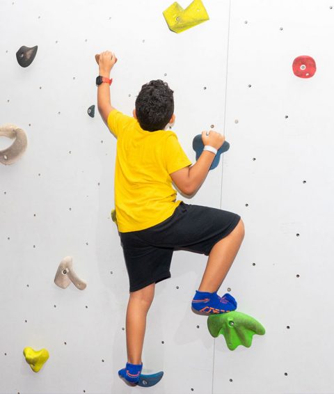 CONTÁCTANOS | Summit Trampoline Park